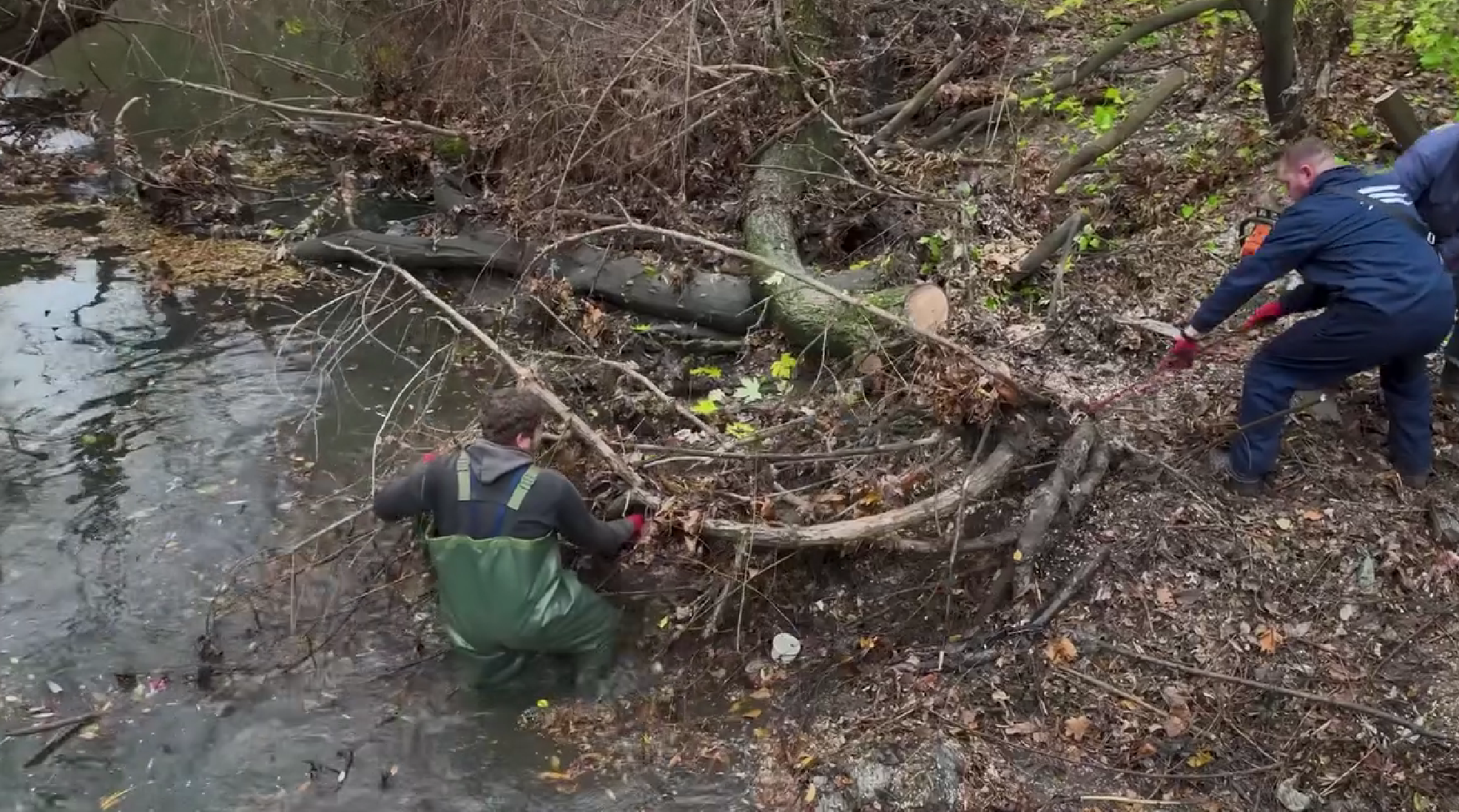 Біля Видубичів у Києві розчистили русло річки Либідь: фото. Читайте на UKR.NET